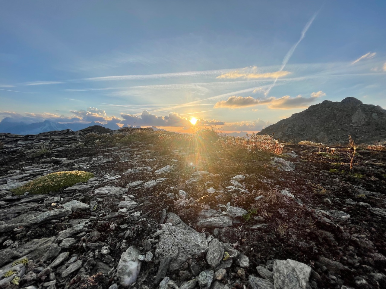 30 ans de recherches sur les écosystèmes de montagne menées par le ...